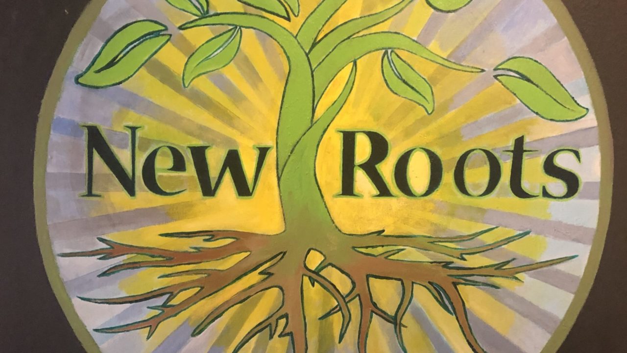 New Roots on Schedule to Open September 9, 2020 - New Roots Charter ...